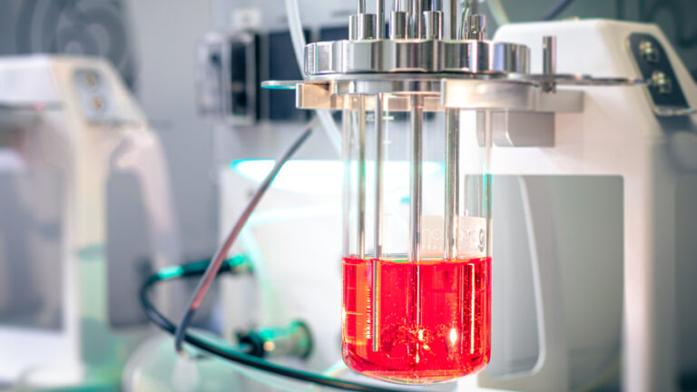 CardioPatch - Vaskularisierter, bioartifizieller Herzmuskel aus ...